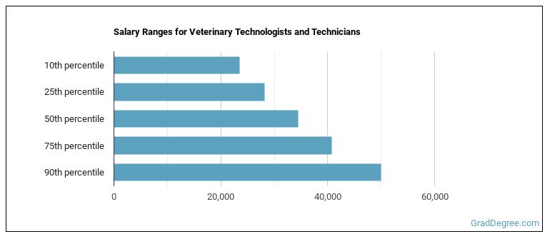 Veterinary Technologist or Technician Job Description & Duties - Grad ...